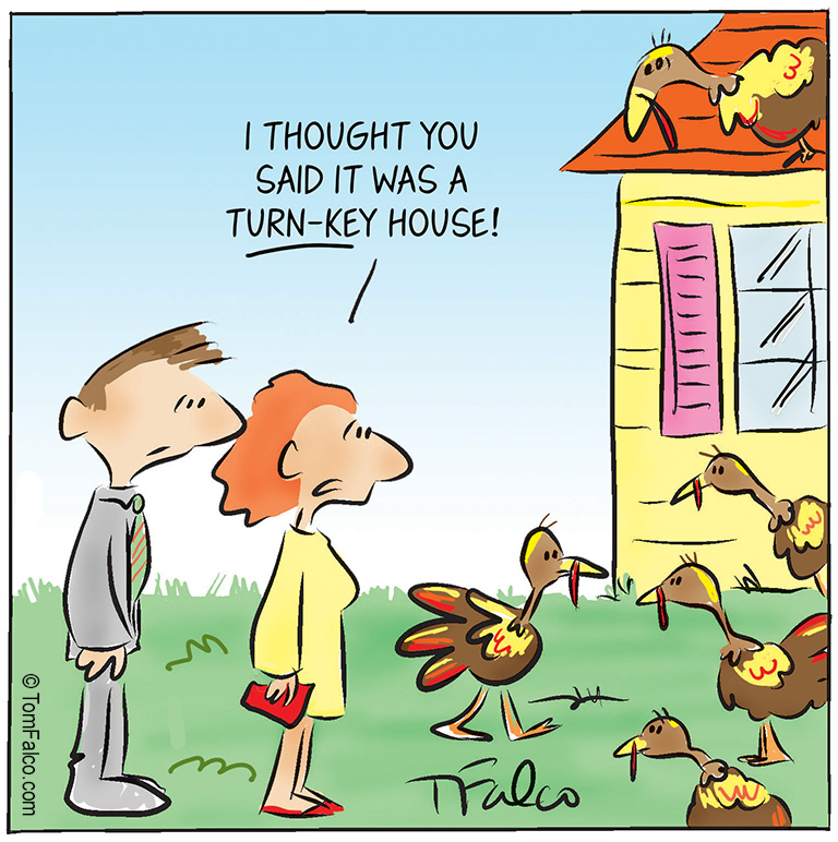 The turkey house – Tomversation