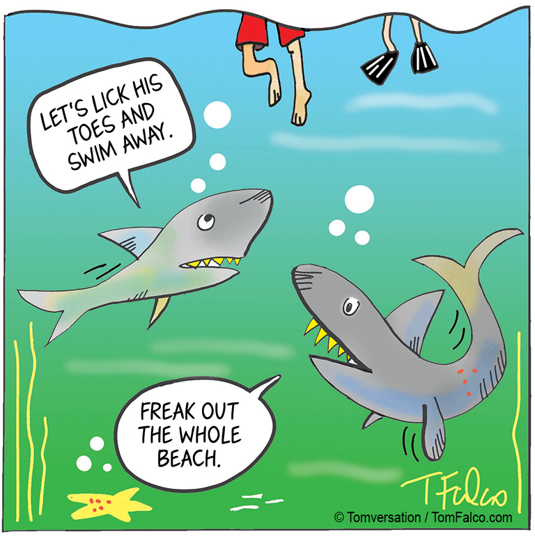 Shark lick – Tomversation
